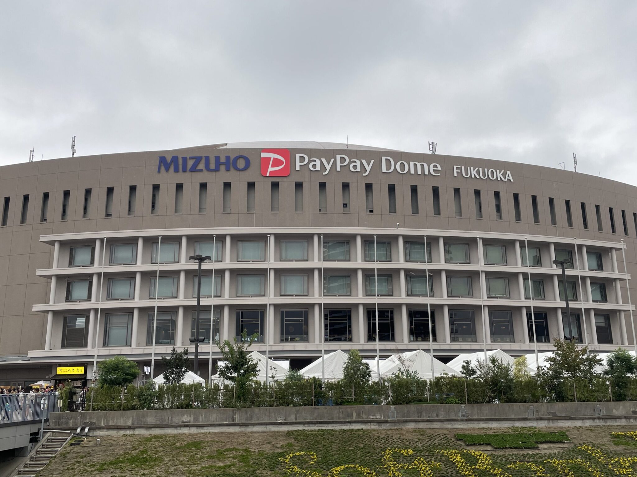 【正直レビュー】シーサイドホテルツインズももち宿泊記（福岡）～PayPayドーム・海浜公園至近！でも…？～｜mico blog